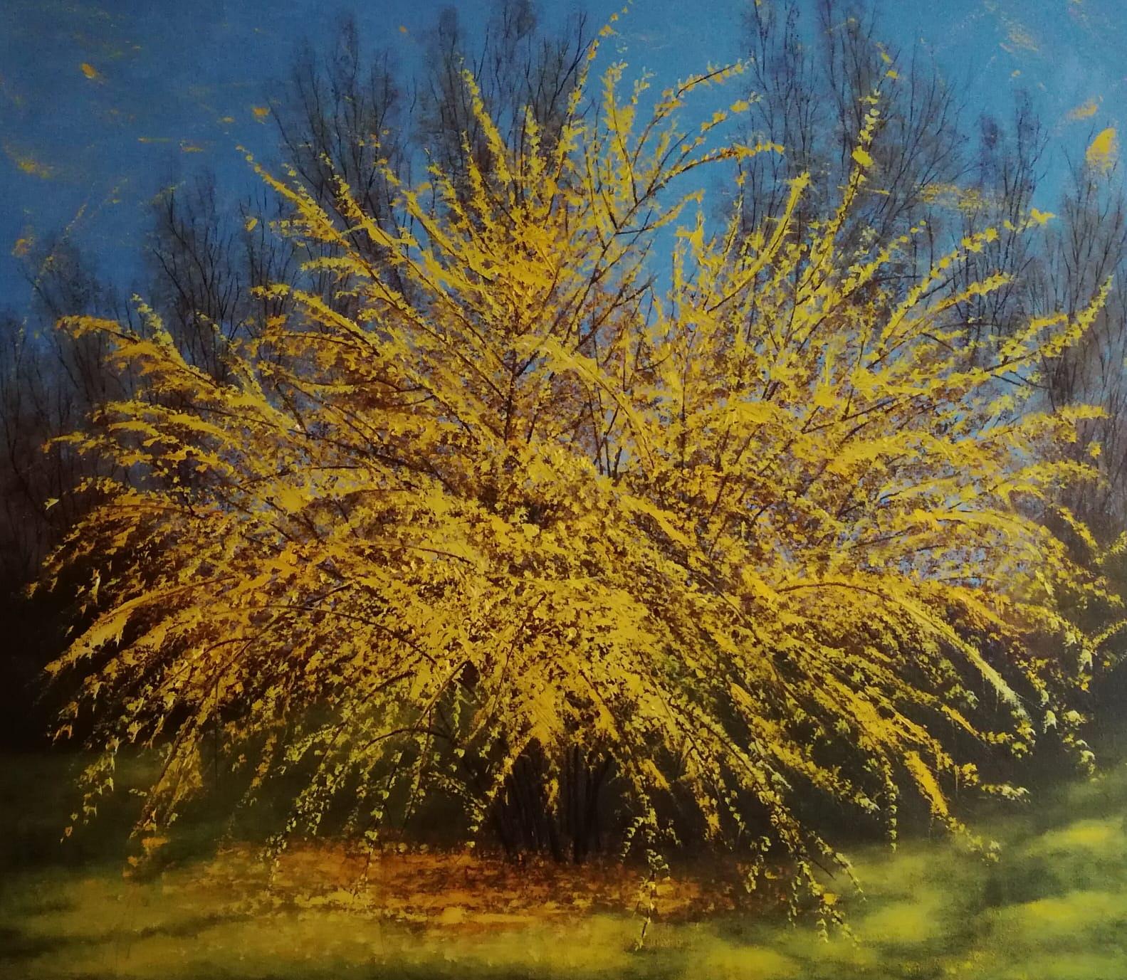 D-Art Gallery - Praha